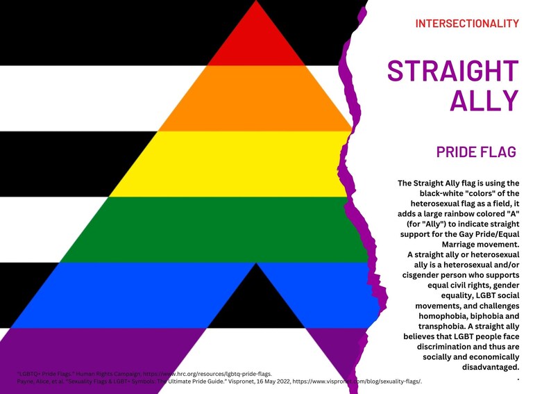 41 Pride Flag Poster Cards (with Meanings and Descriptions) - Etsy