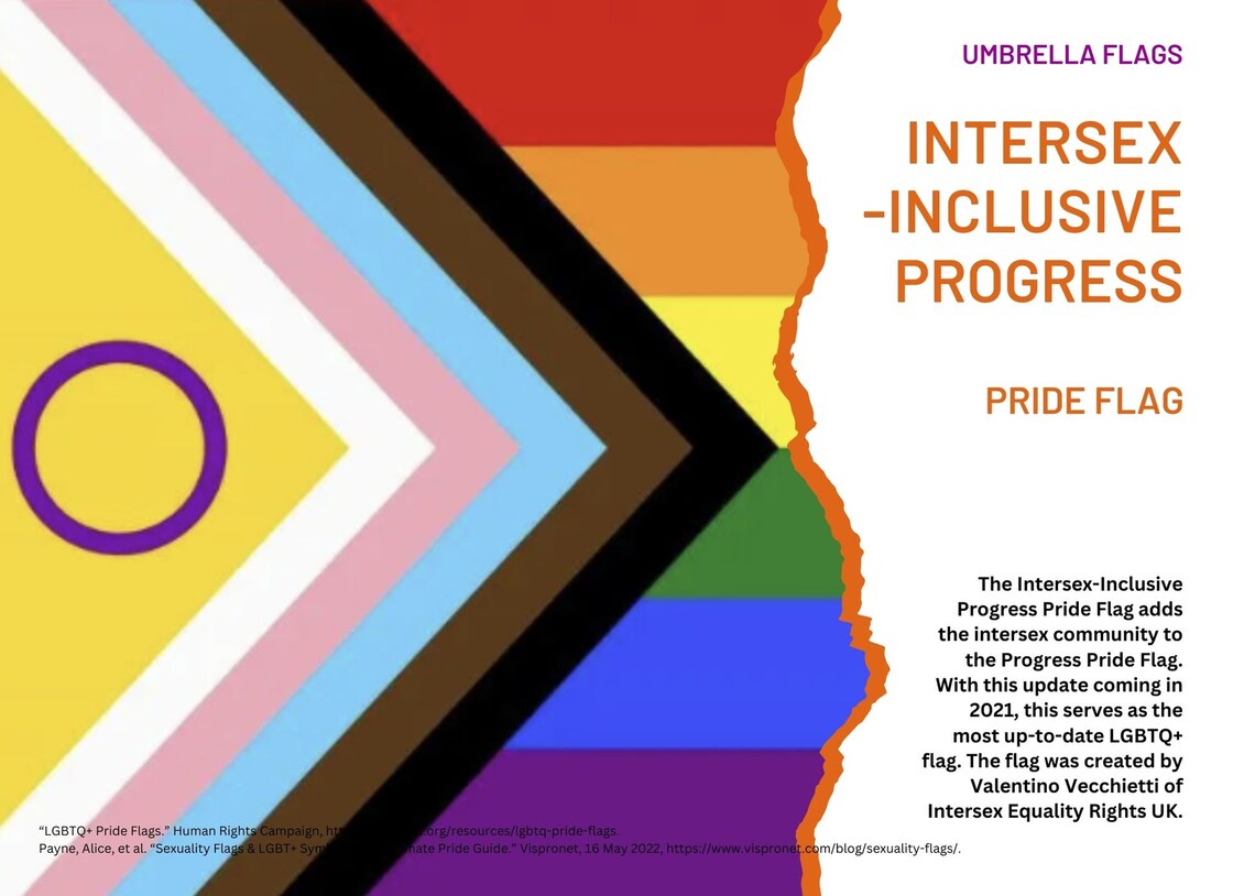 41 Pride Flag Poster Cards (with Meanings and Descriptions) - Etsy