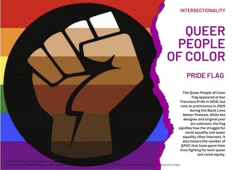 41 Pride Flag Poster Cards (with Meanings and Descriptions) - Etsy