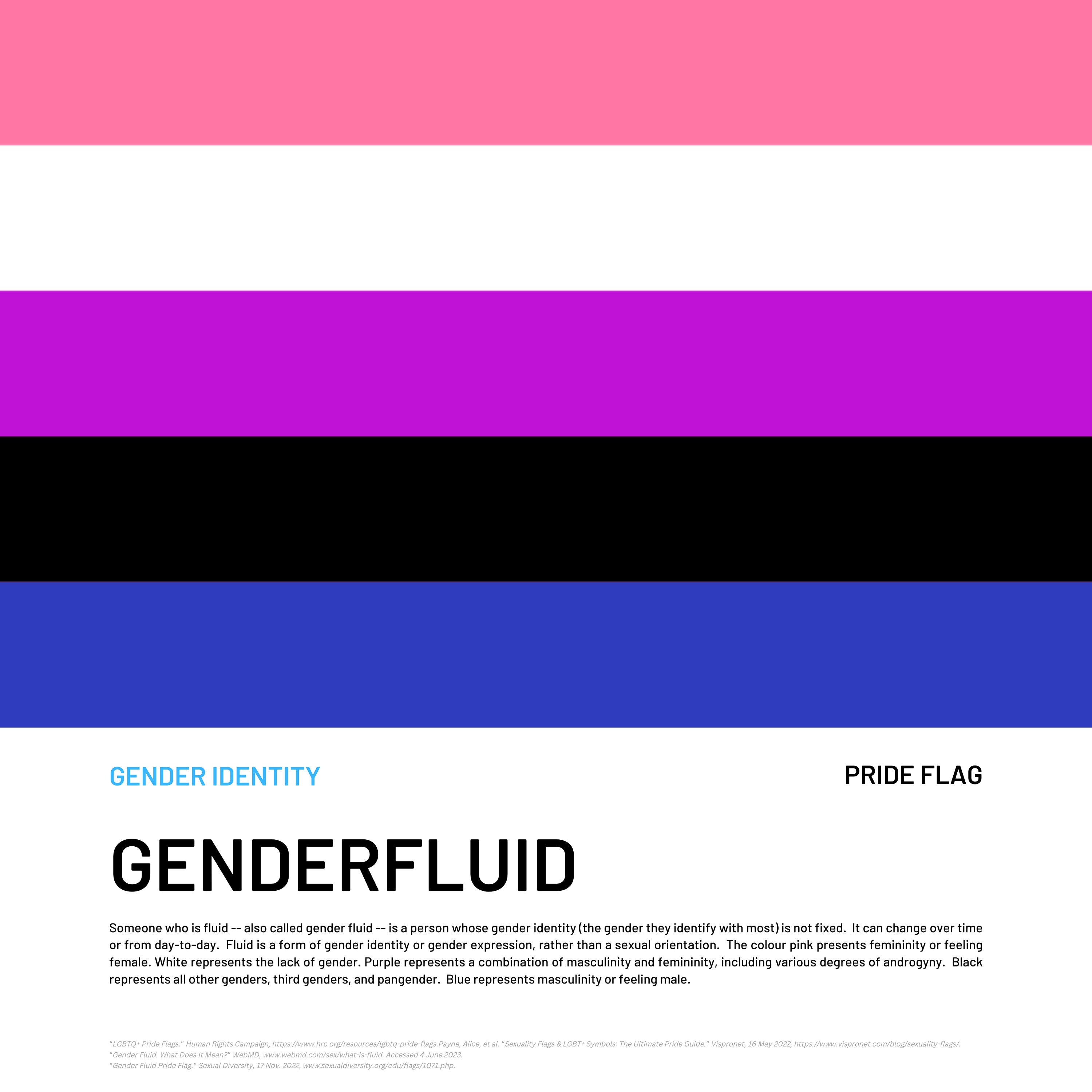 115 Square Pride Flag Poster Cards with Flag Meanings and - Etsy