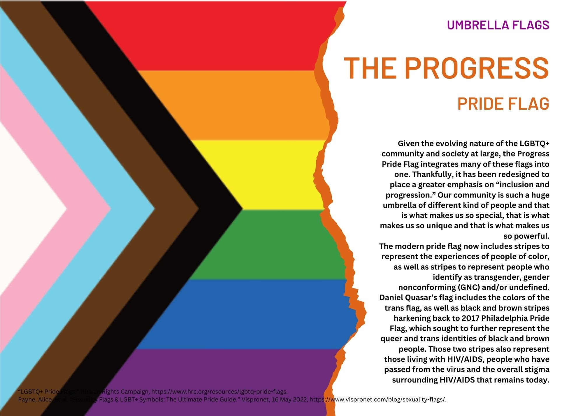 41 Pride Flag Poster Cards (with Meanings and Descriptions) - Etsy