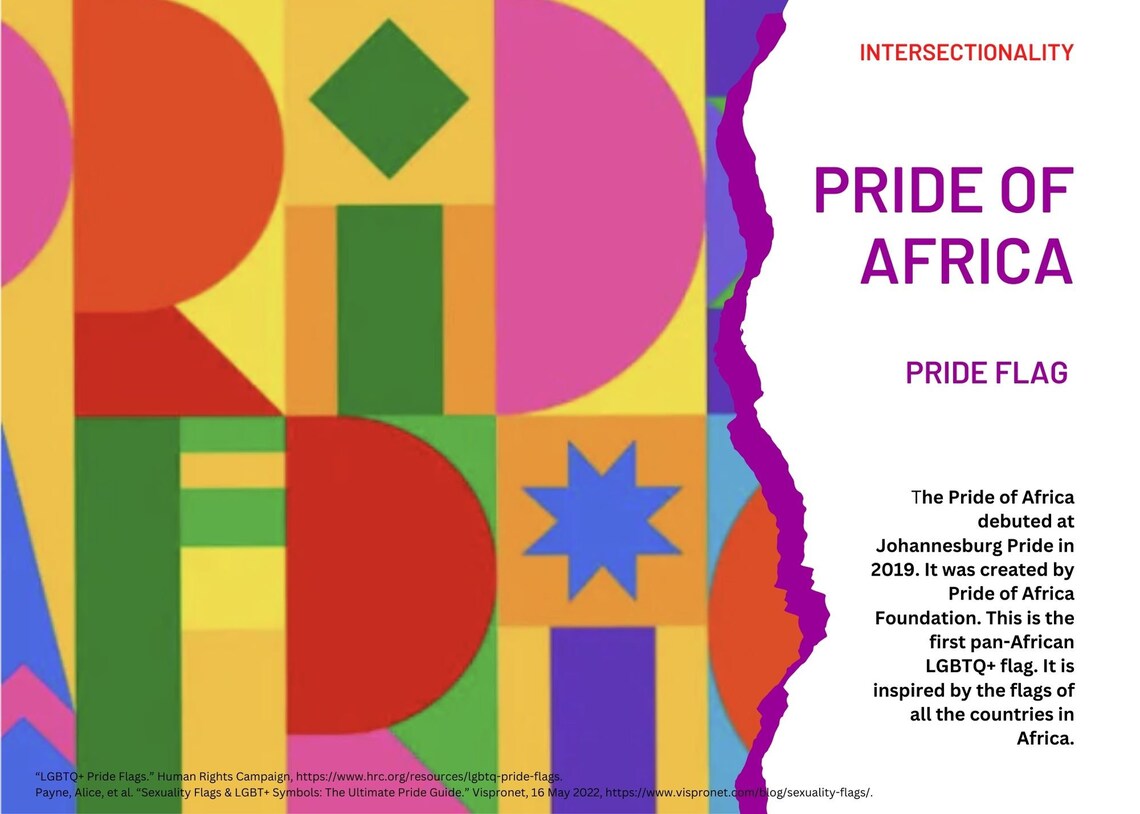 41 Pride Flag Poster Cards (with Meanings and Descriptions) - Etsy