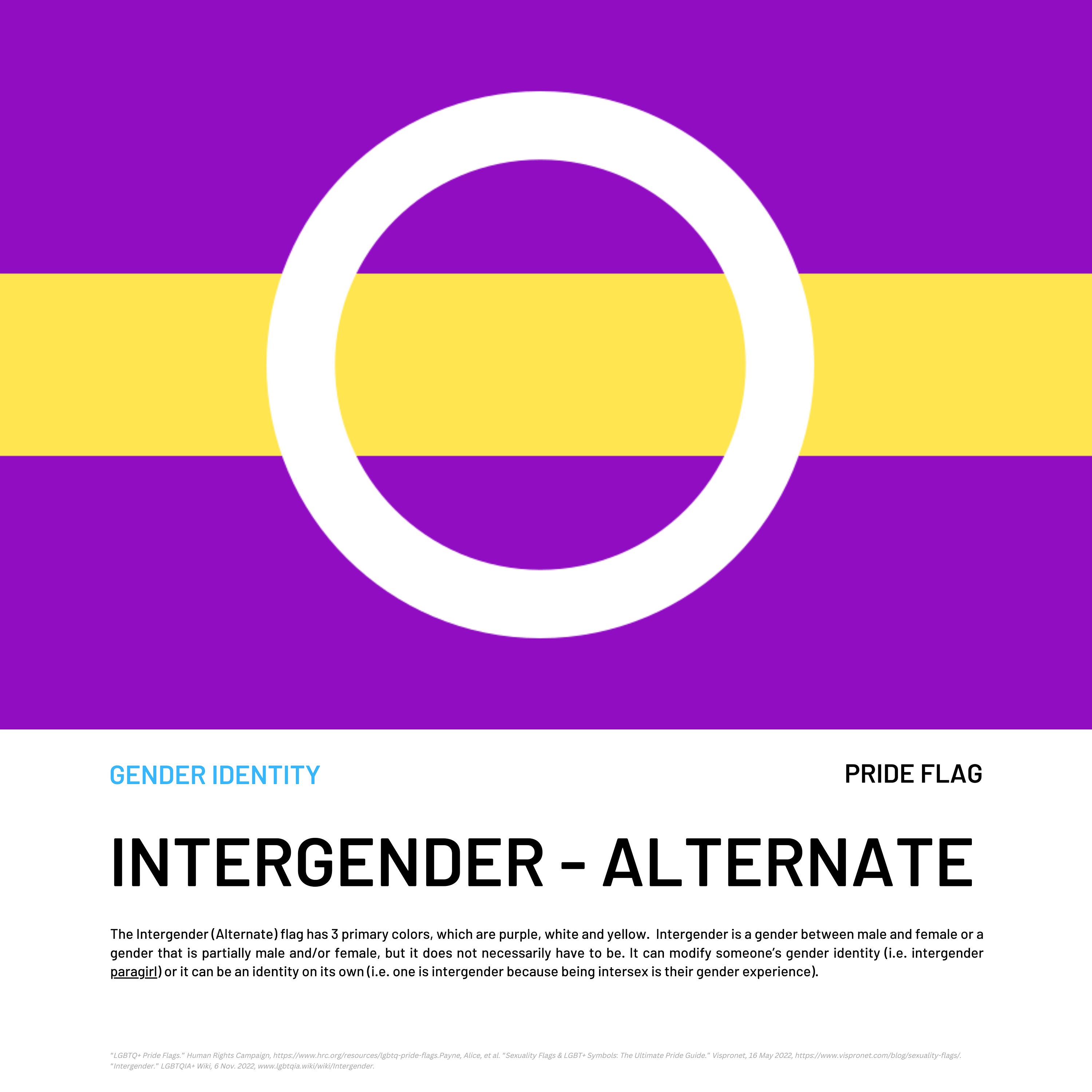 115 Square Pride Flag Poster Cards with Flag Meanings and Descriptions ...