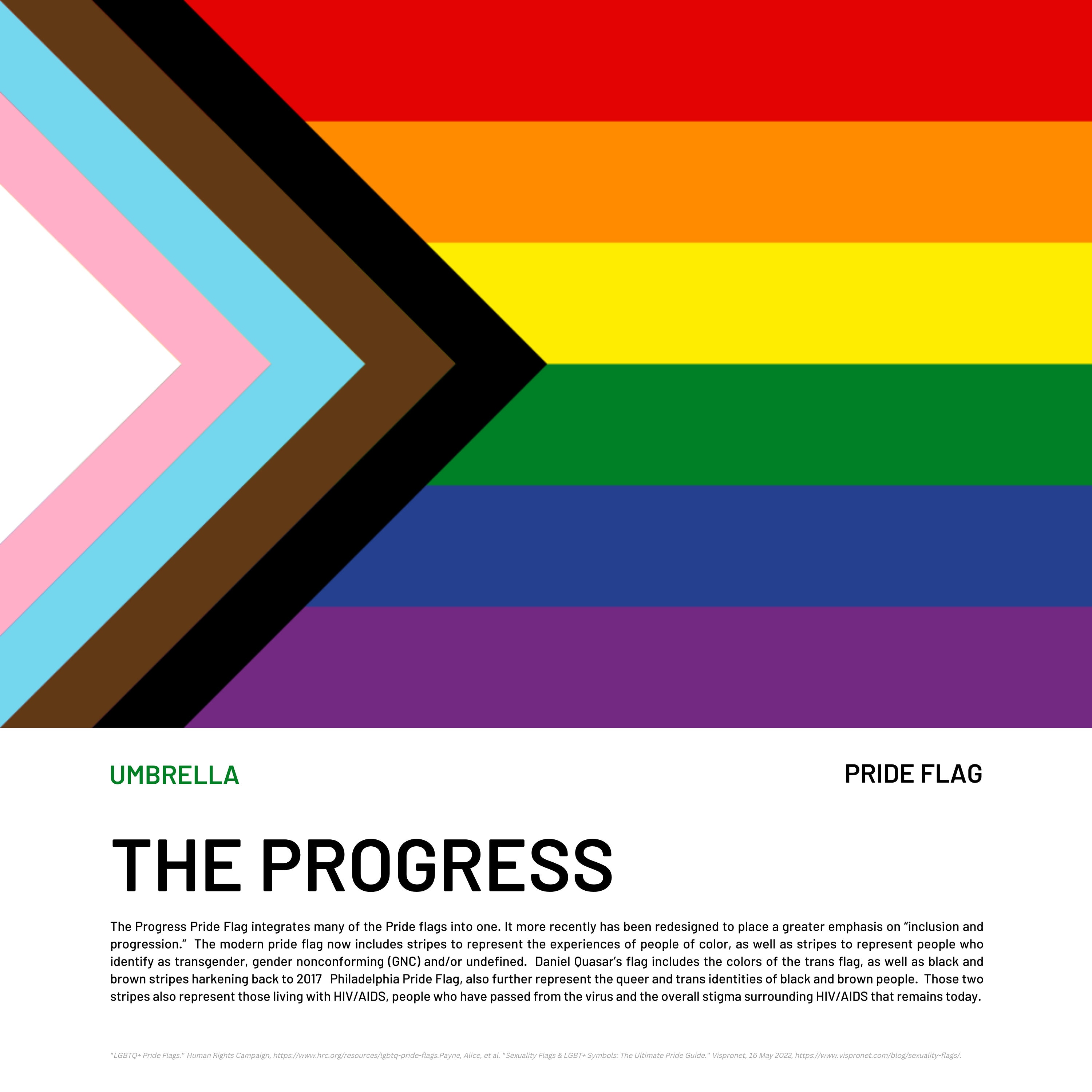 115 Square Pride Flag Poster Cards with Flag Meanings and - Etsy