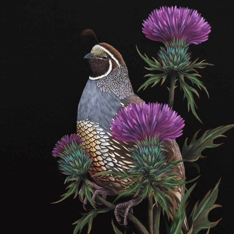 Quail Painting - Etsy