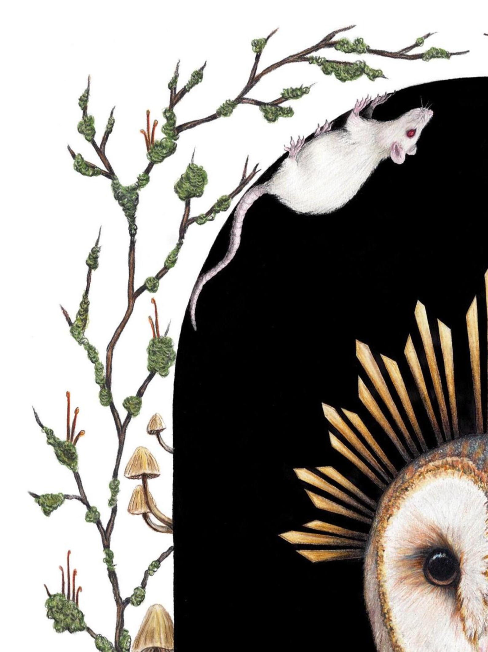Barn Owl & Rat Cottage Core Moody Fantasy Woodland Illustration - Etsy