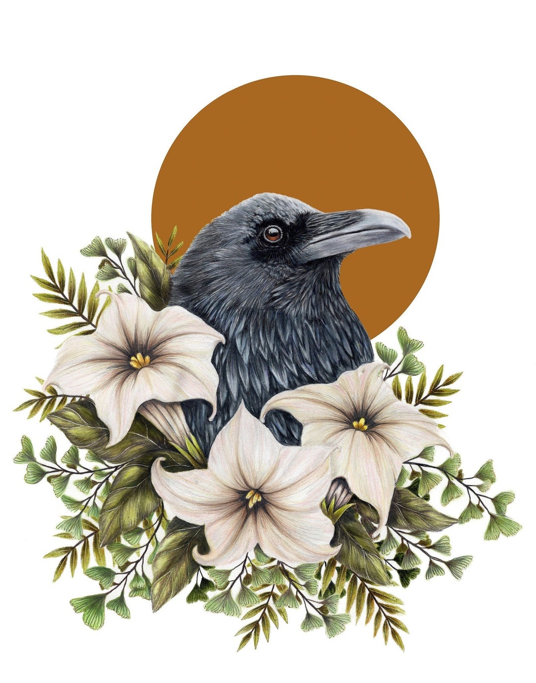 Raven & Datura, Maidenhair Fern Wall Art Fantasy Art, Ornithology Bird ...