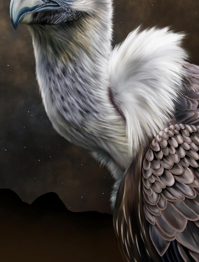 Griffon Vulture Dark Academia Moody Bird Wall Art Bird Hag - Etsy