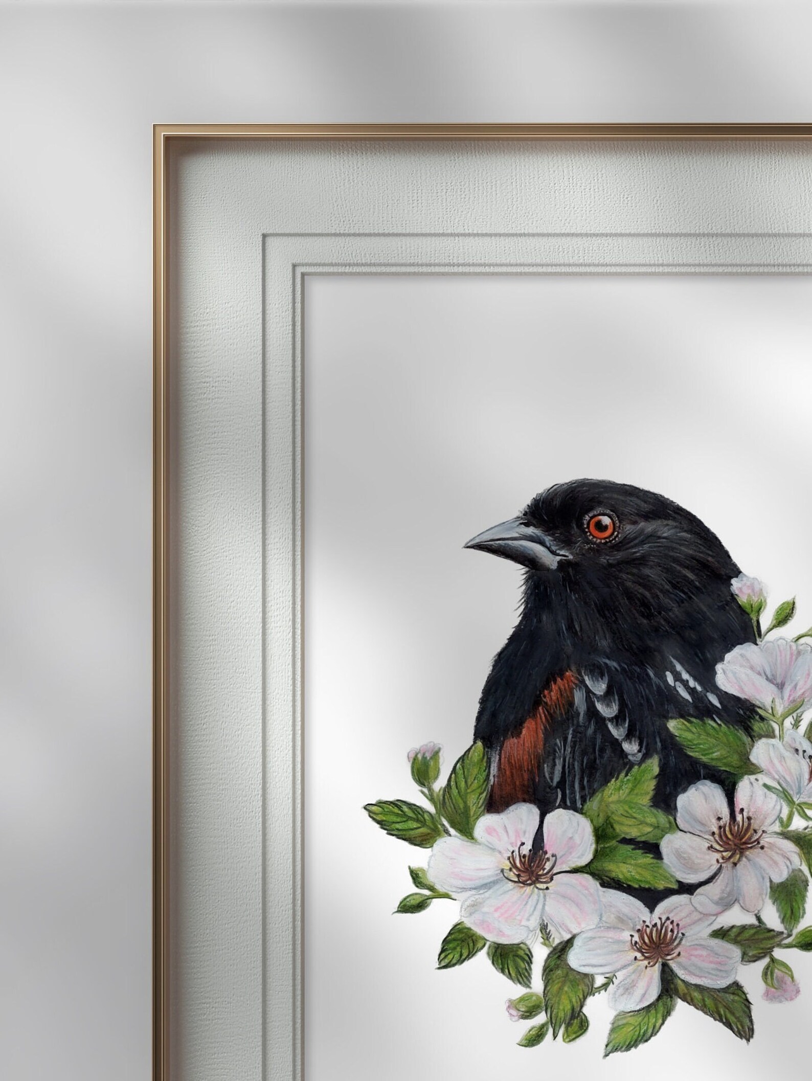 Spotted Towhee Bird Print Blackberry Botanical Realistic Bird Drawing ...