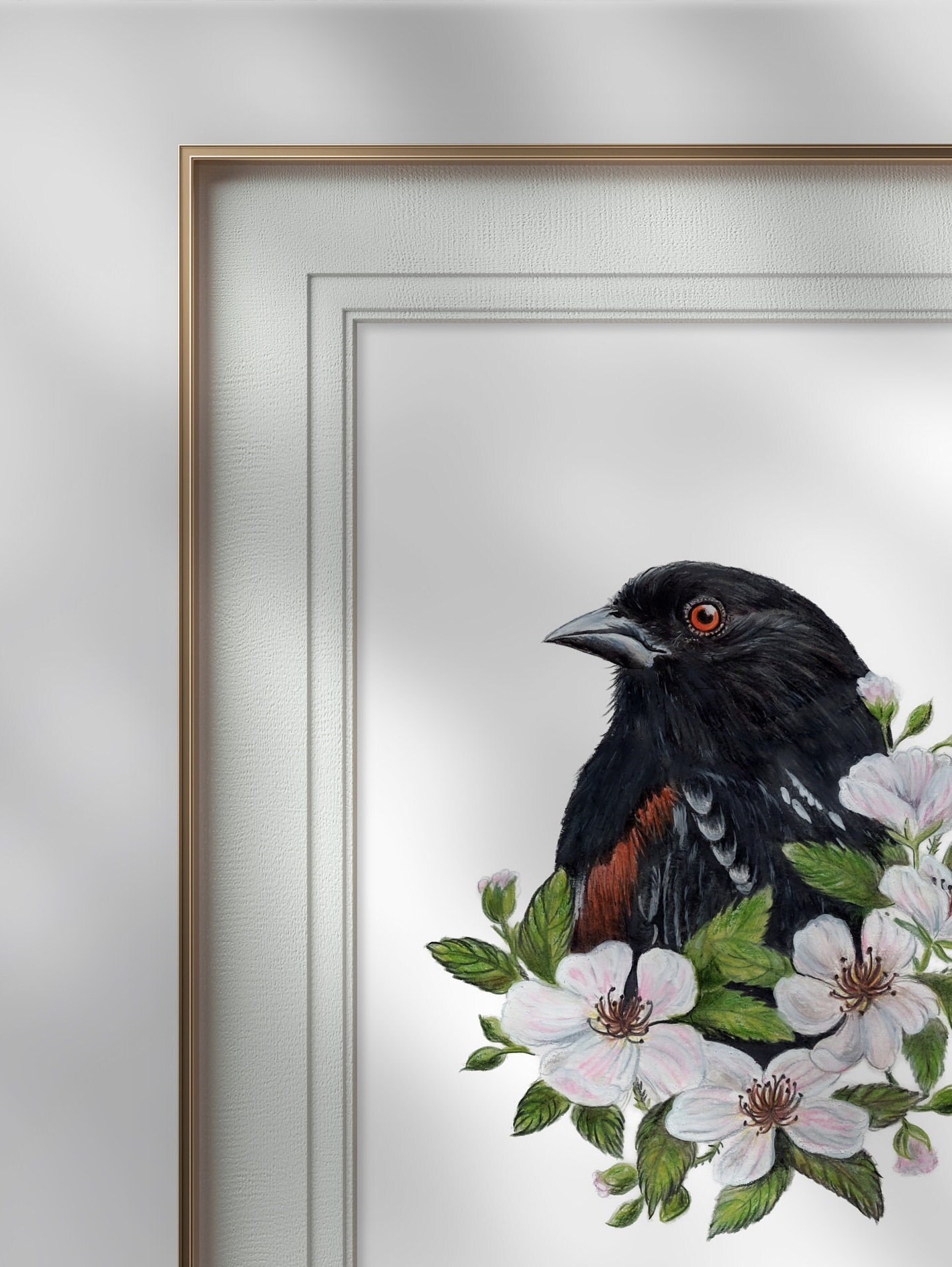 Spotted Towhee Bird Print Blackberry Botanical Realistic Bird Drawing ...