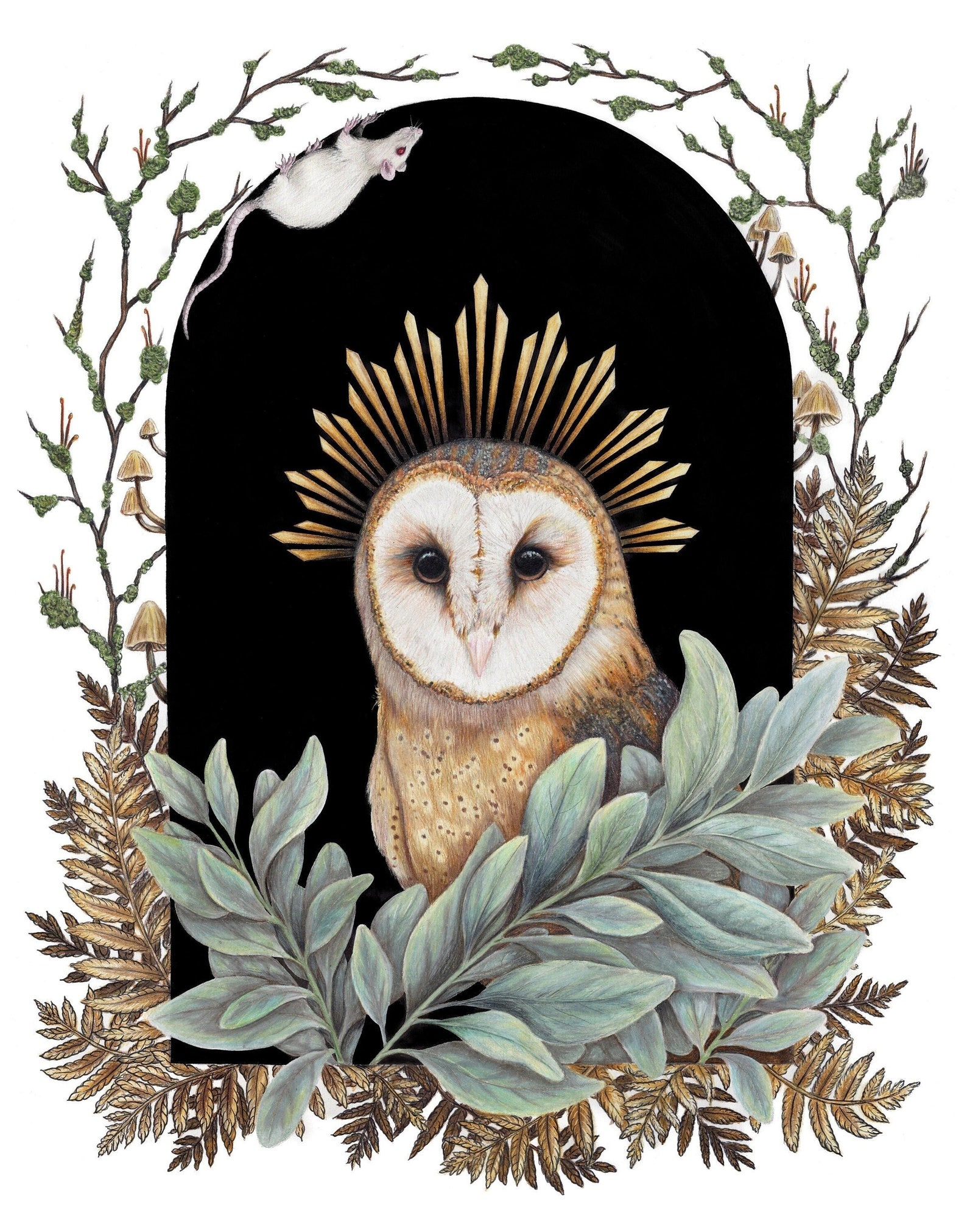 Barn Owl & Rat Cottage Core Moody Fantasy Woodland Illustration - Etsy