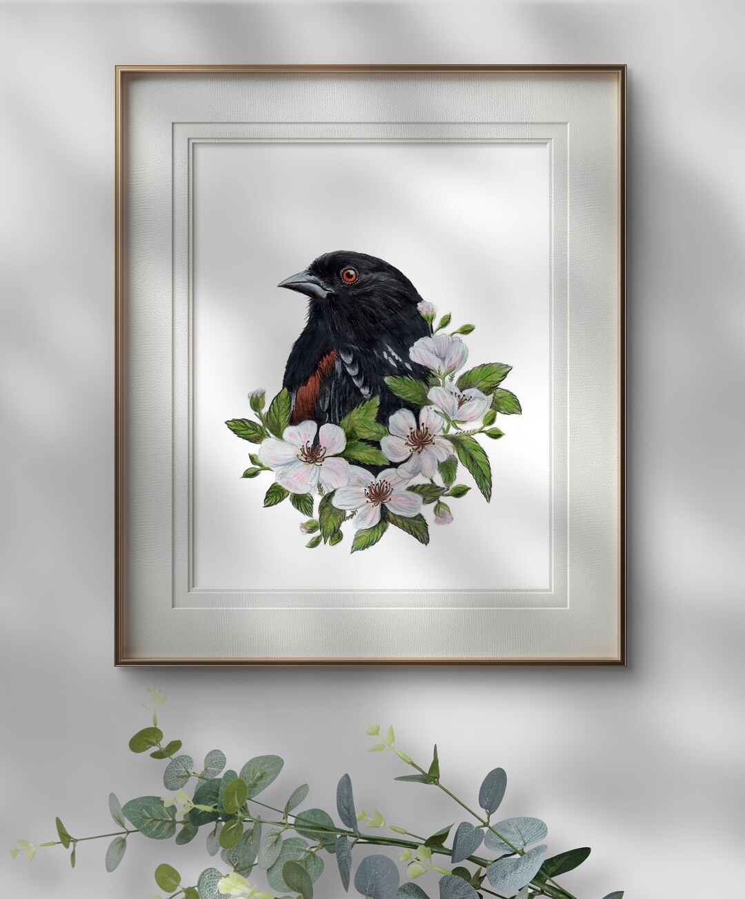 Spotted Towhee Bird Print Blackberry Botanical Realistic Bird Drawing ...