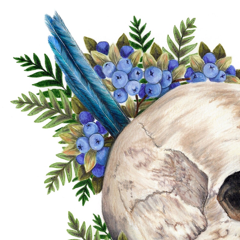 Magpie & Human Skull Cottage Core Dark Academia Wall Art Bird Hag - Etsy