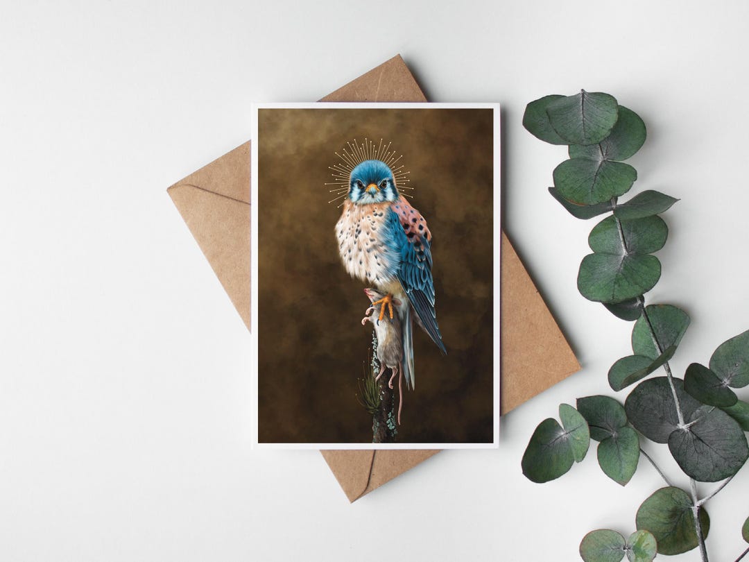American Kestrel & Field Mouse Blank Note Cards Bird Hag - Etsy