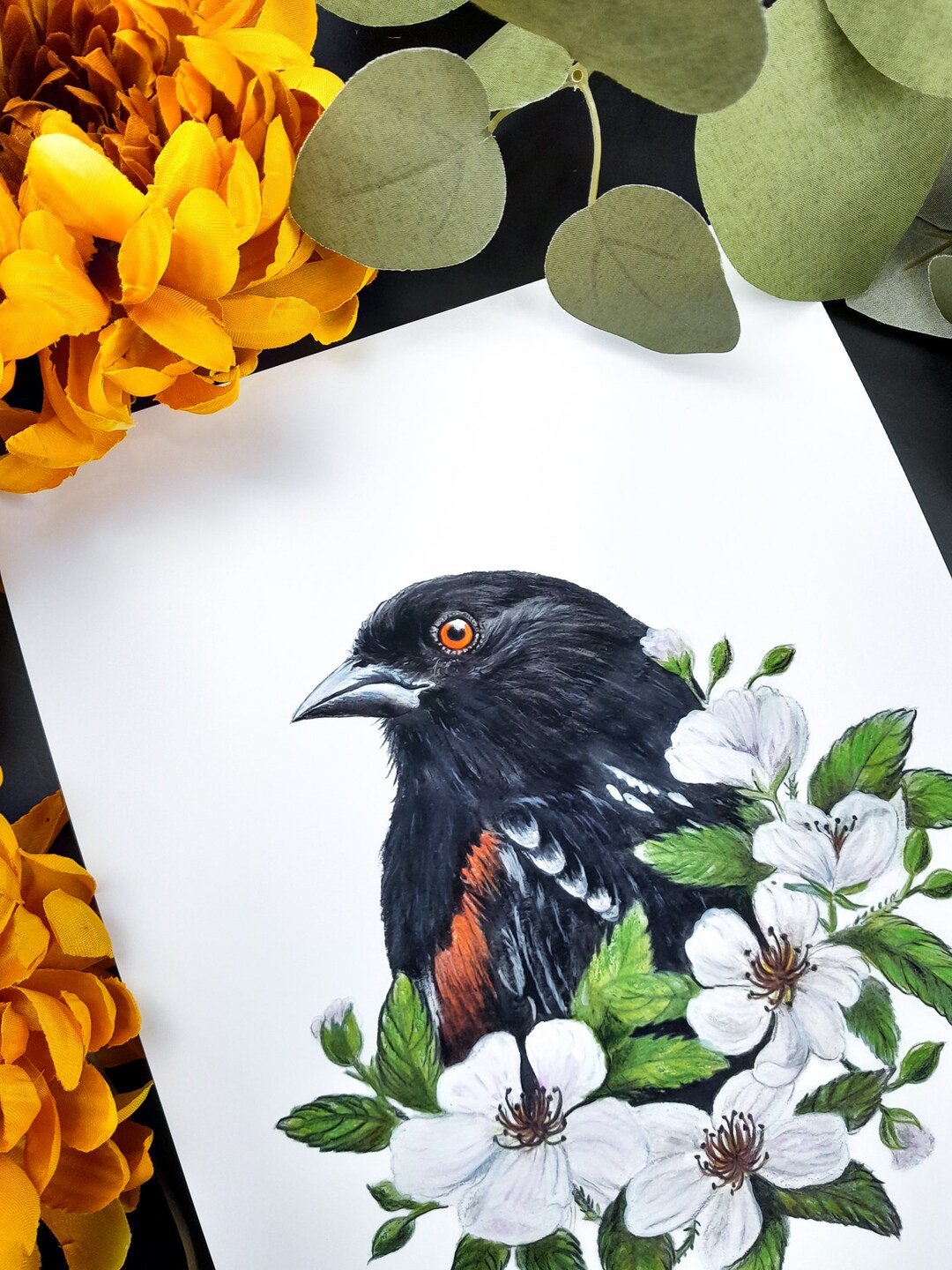 Spotted Towhee Bird Print Blackberry Botanical Realistic Bird Drawing ...