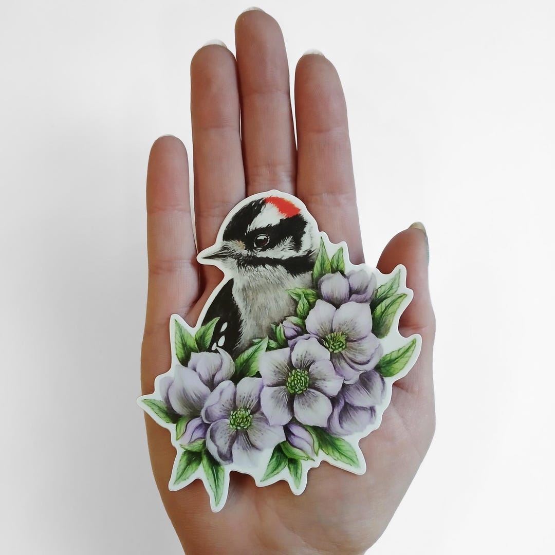 Downy Woodpecker & Hellebore Vinyl Sticker Bird Hag - Etsy