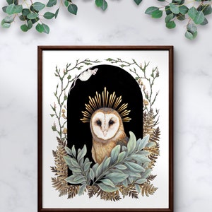 Barn Owl Bird Art Albino Rat Fantasy Audubon Bird Lover Gift Bird Hag ...