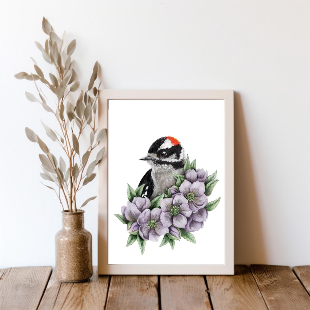 Downy Woodpecker & Hellebore Flower Botanical Realistic Drawing ...