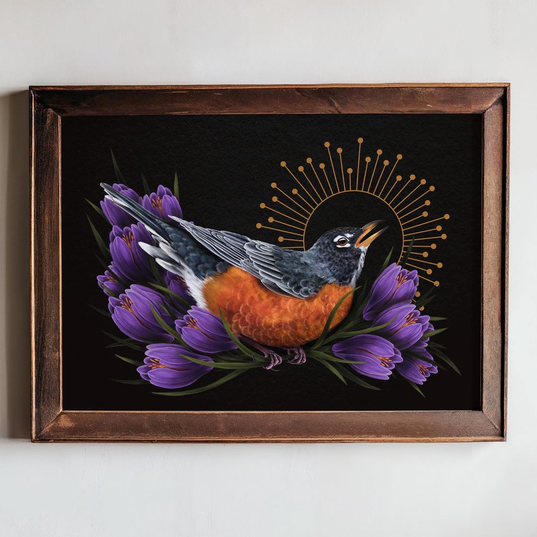 American Robin Print Crocus Flowers Spring Moody Bird Hag - Etsy