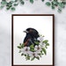 Spotted Towhee Bird Print Blackberry Botanical Realistic Bird Drawing ...