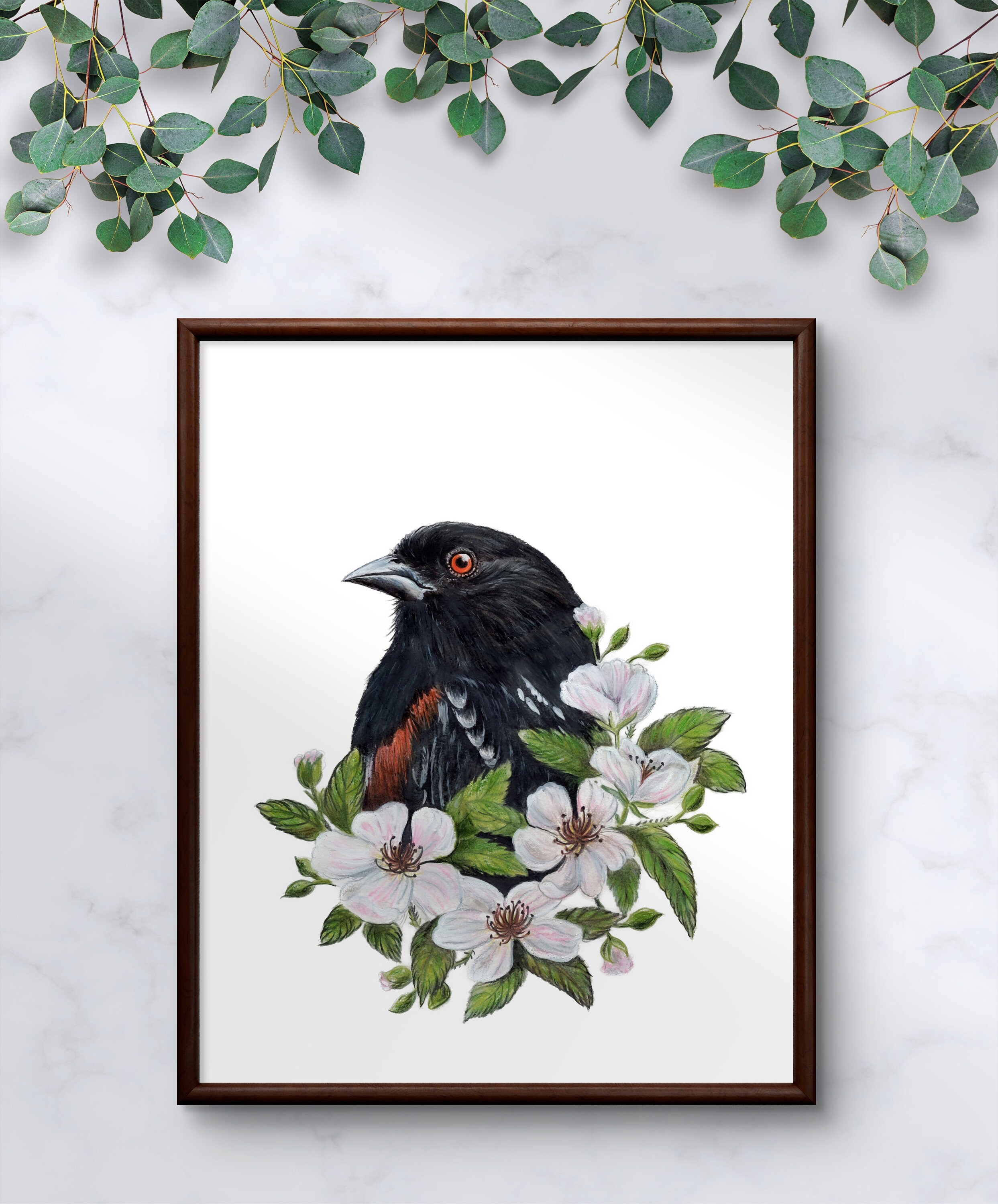 Spotted Towhee Bird Print Blackberry Botanical Realistic Bird Drawing ...