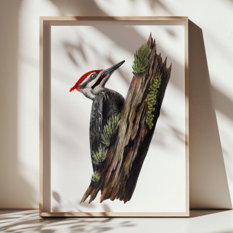 Bird Print - Etsy