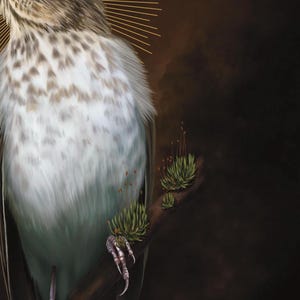 Swainson’s Thrush Print Ladybug Moss Moody Dark Whimsy Bird Hag - Etsy