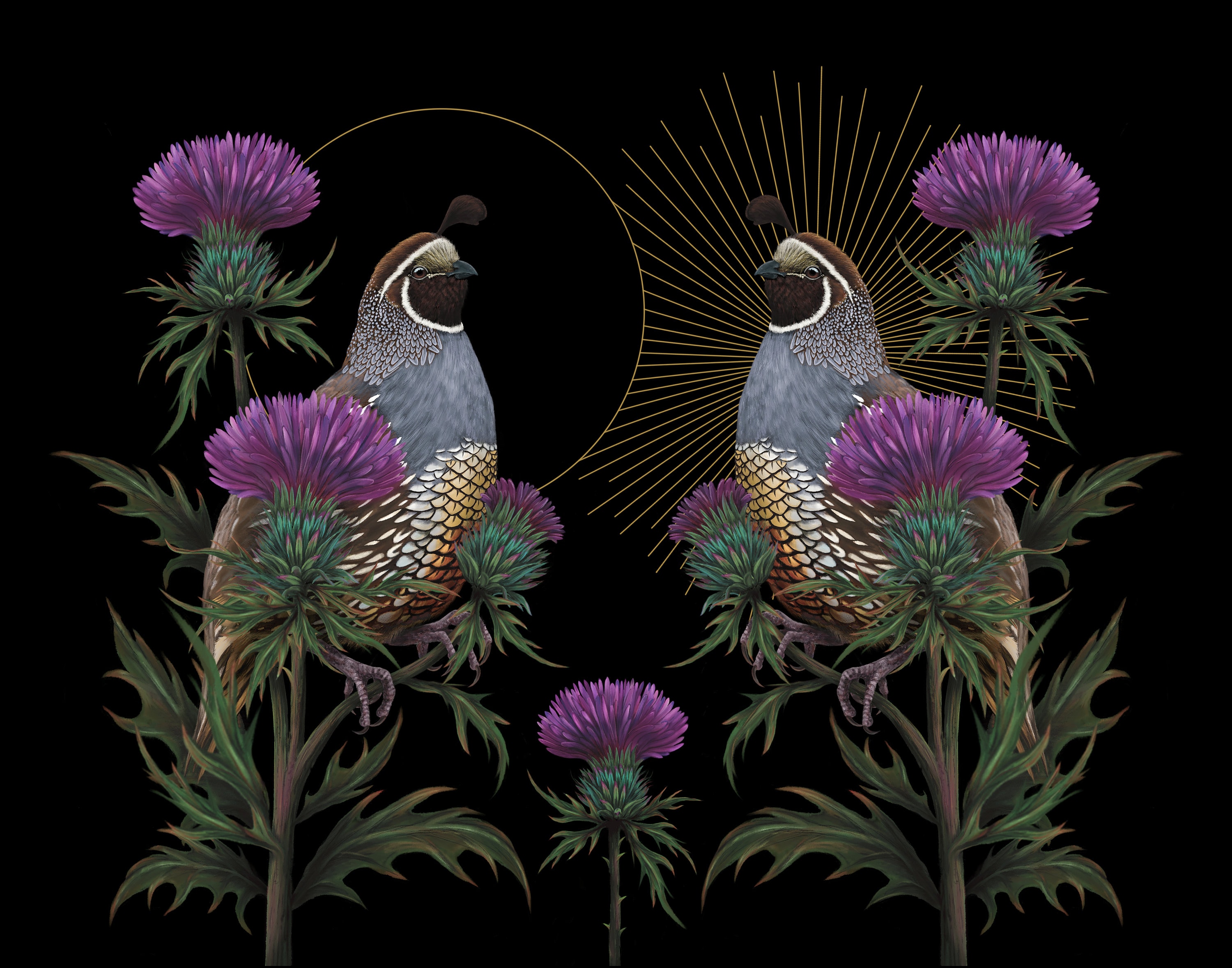 Two Quail and Thistle Sun & Moon California Quail, Milk Thistle Moody ...