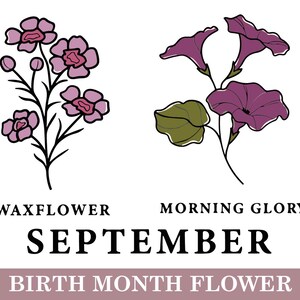 Birth Month Flower Bouquet Svg Png Bundle, Birth Month Flower, Flower ...