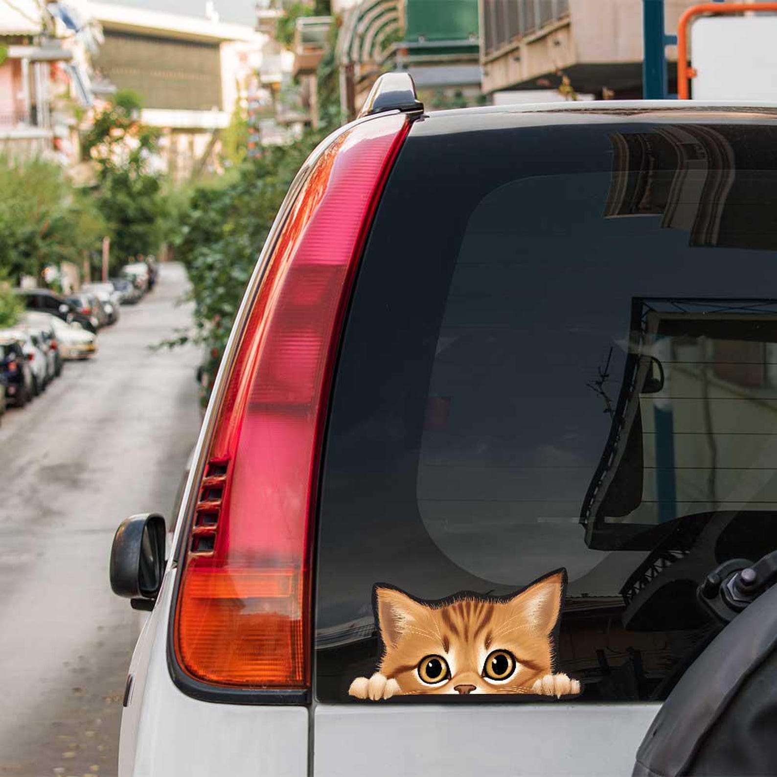 Peekaboo Toffee Peeking Kitten Cat Vinyl Sticker | Car Laptop Water ...