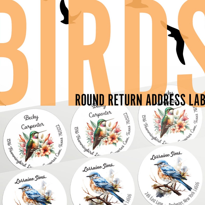 Bluebird Stickers - Etsy