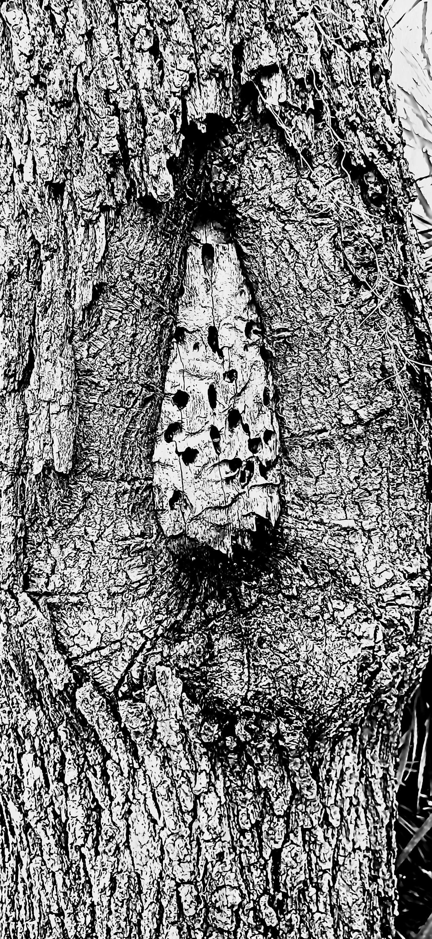 Tree Trunk Downloadable Art Print Natural Wall Art Decor - Etsy