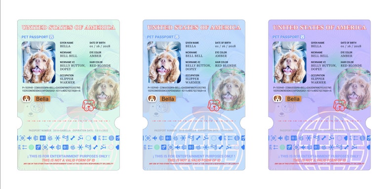 Custom Pet Passport Digital Copy Digital File - Etsy