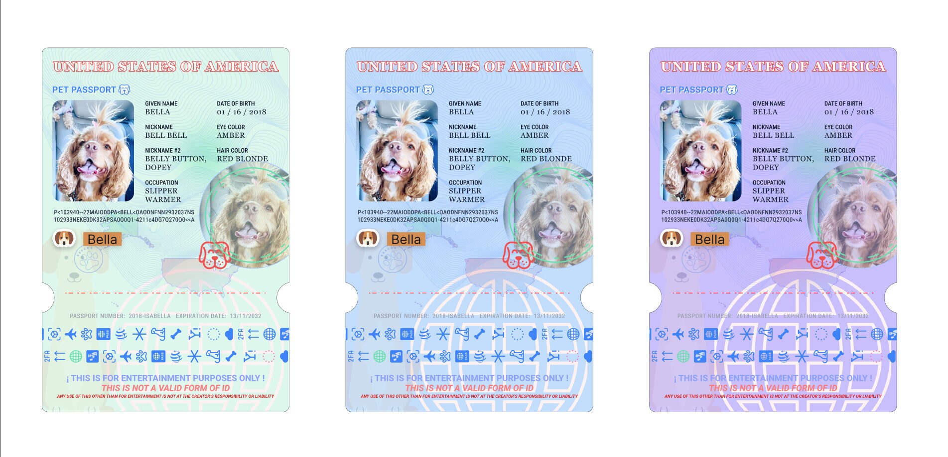 Custom Pet Passport Digital Copy Digital File - Etsy