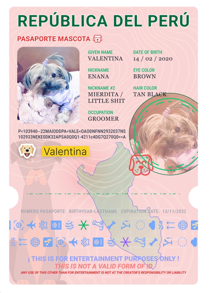Custom Pet Passport Digital Copy Digital File - Etsy
