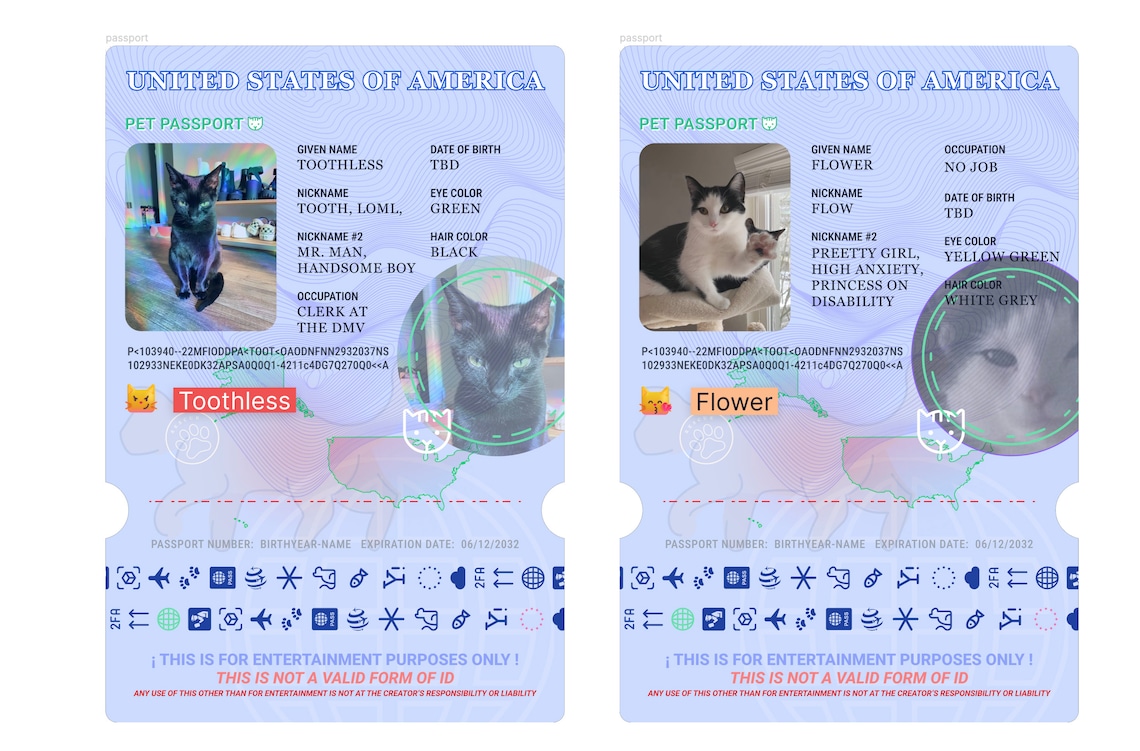 Custom Pet Passport Digital Copy Digital File - Etsy