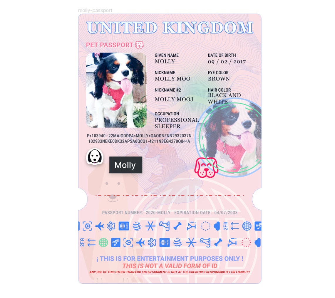 Custom Pet Passport Digital Copy Digital File - Etsy