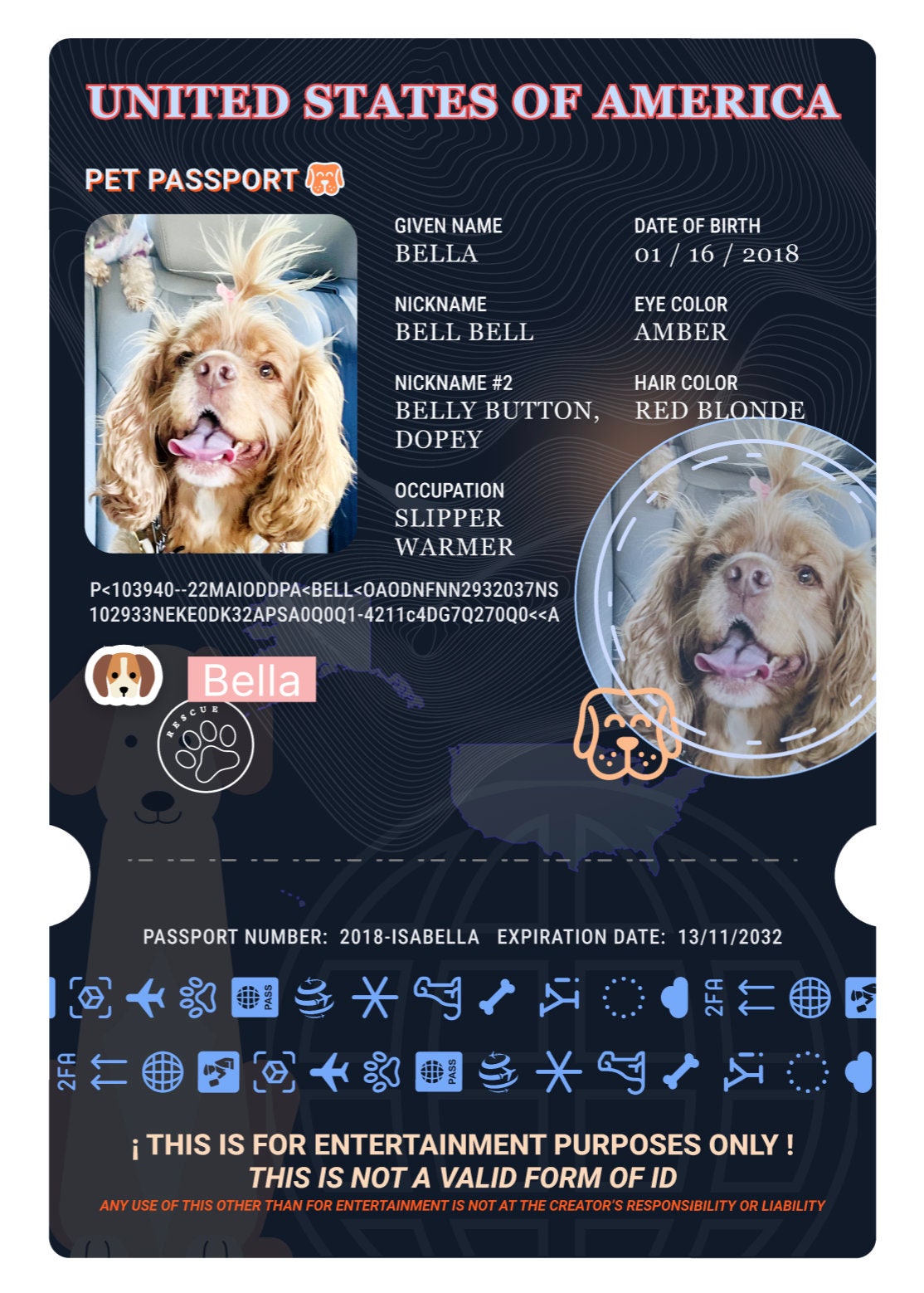 Custom Pet Passport Digital Copy Digital File - Etsy