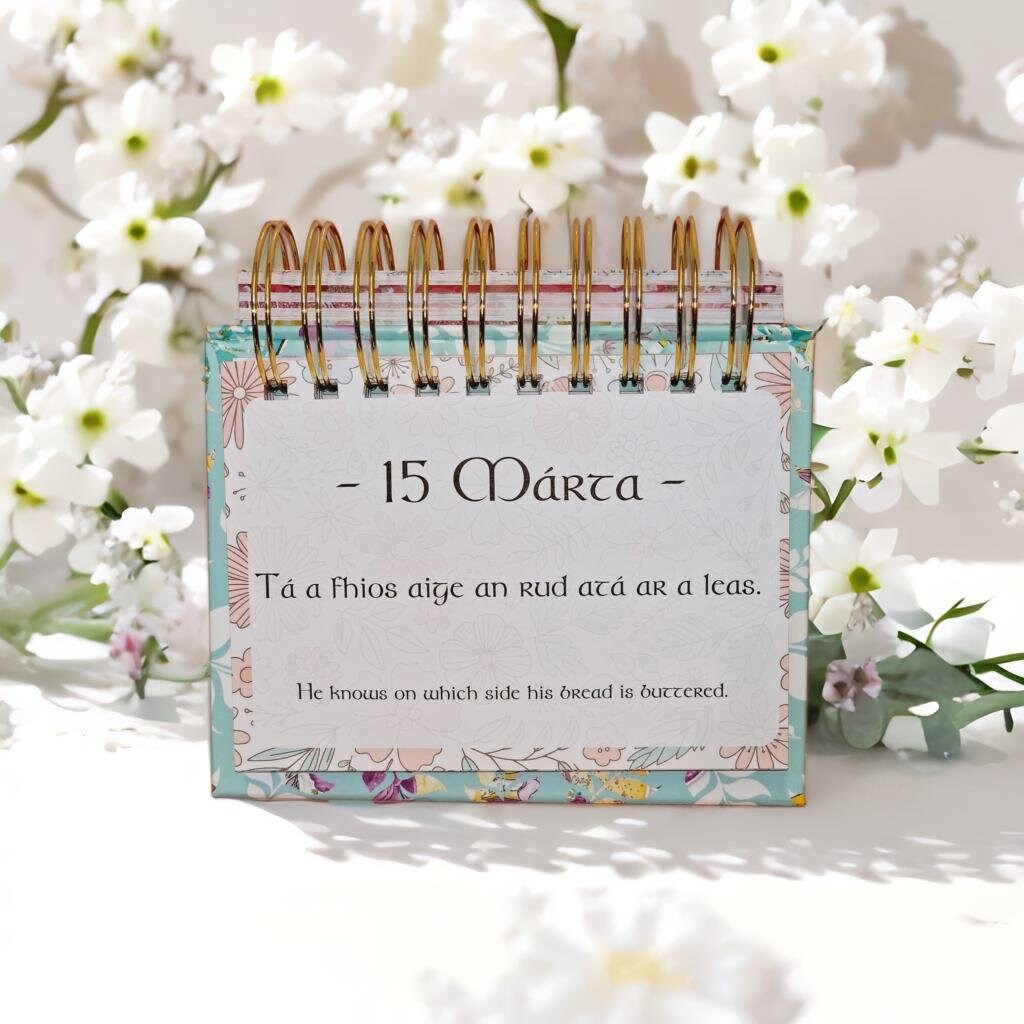 O Lá Go Lá Irish / Gaeilge Desktop Calendar - Etsy
