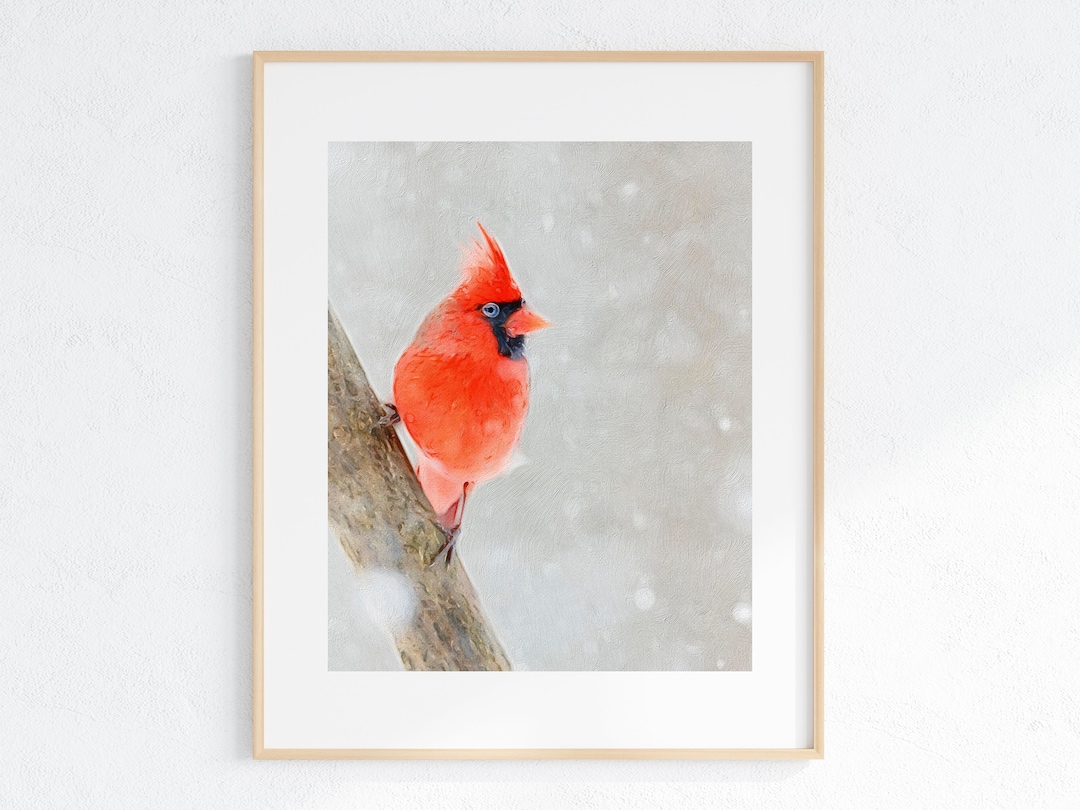 Winter Cardinal Art Print, Digital Download HM5 - Etsy