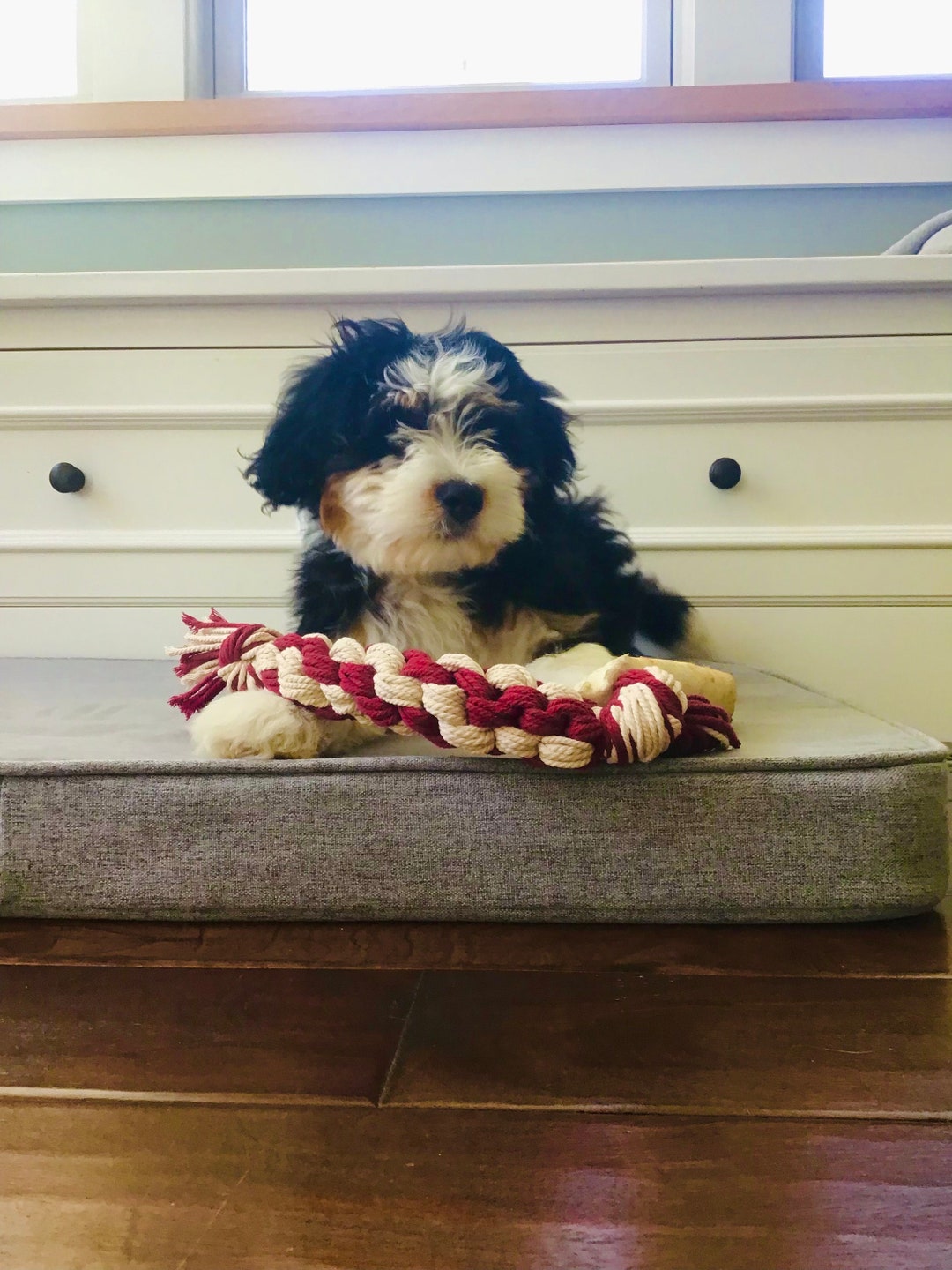 Macrame Dog Toy, Durable Dog Toy, Puppy Teething Toy, Handmade With ...