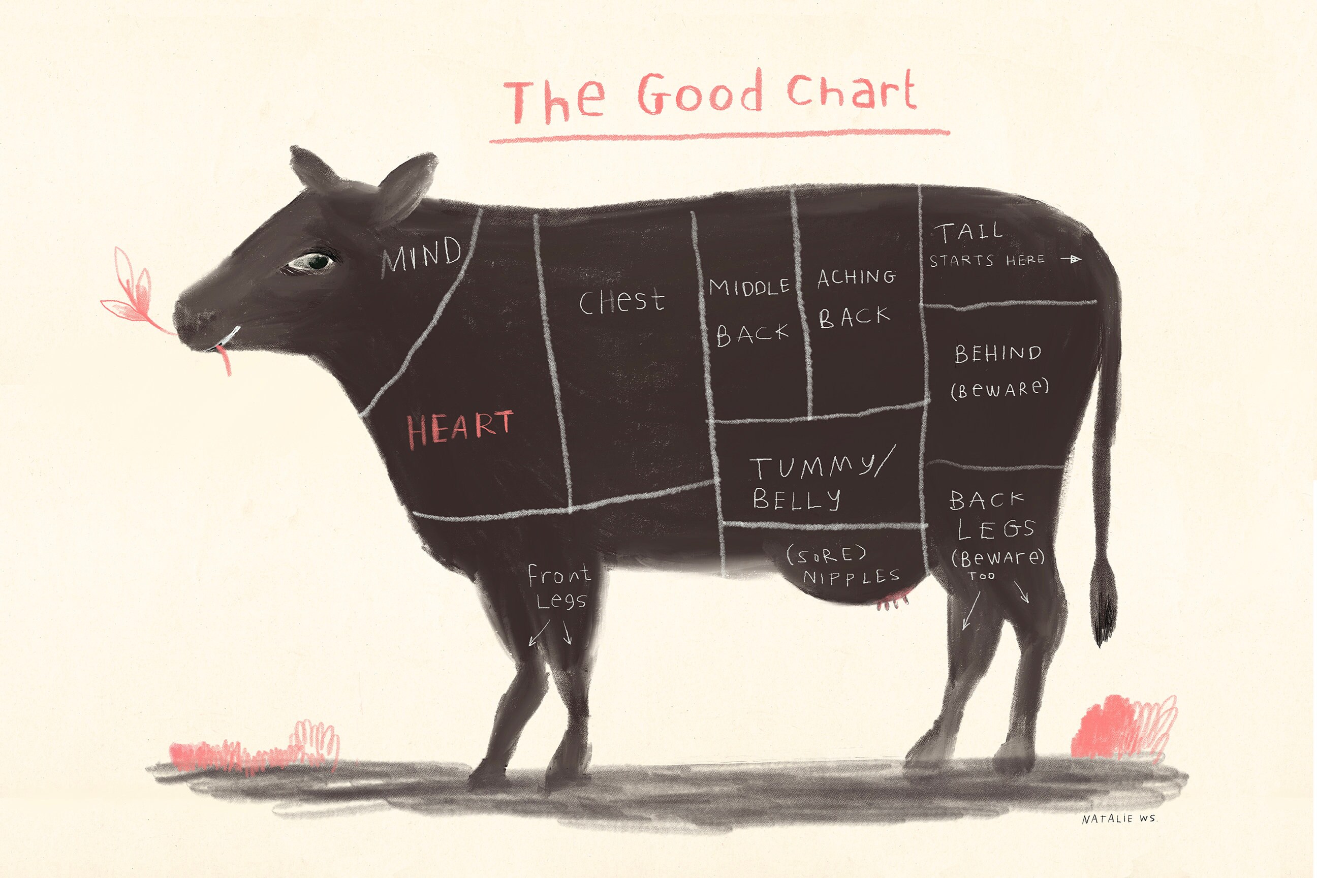 Cow Illustration, Vegan Print, Wall Art, Vegan Gift, Animal Friendly ...