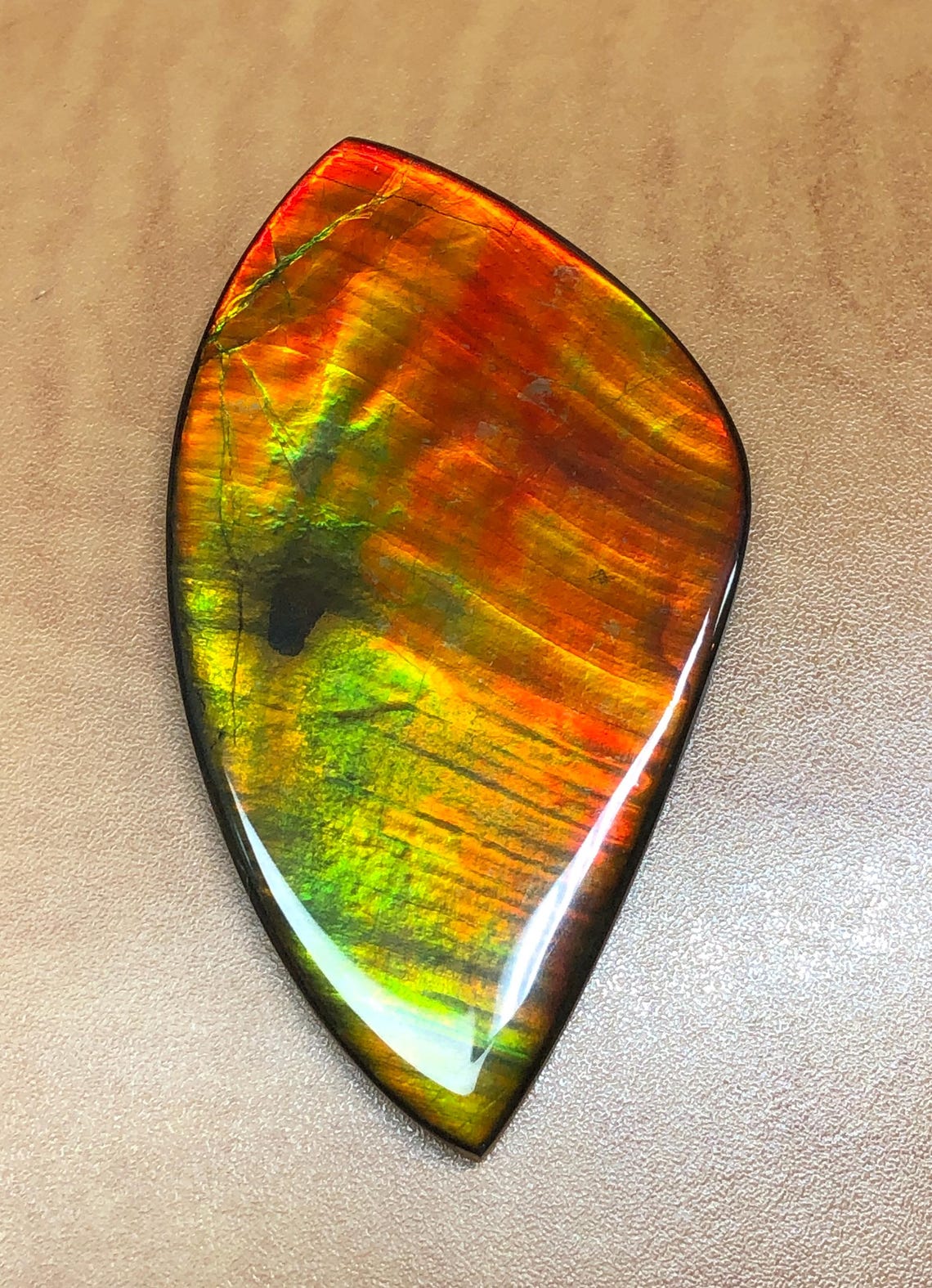 Collector Ammolite Gemstone: Red, Green, and Yellow - Etsy