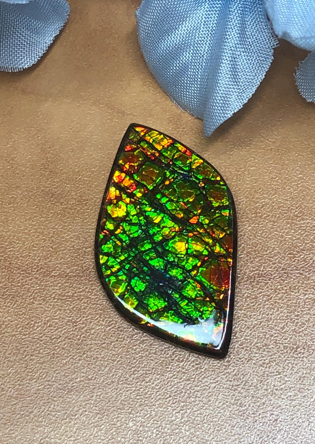Dragon Scale Ammolite Gemstone: Polished Free Form - Etsy