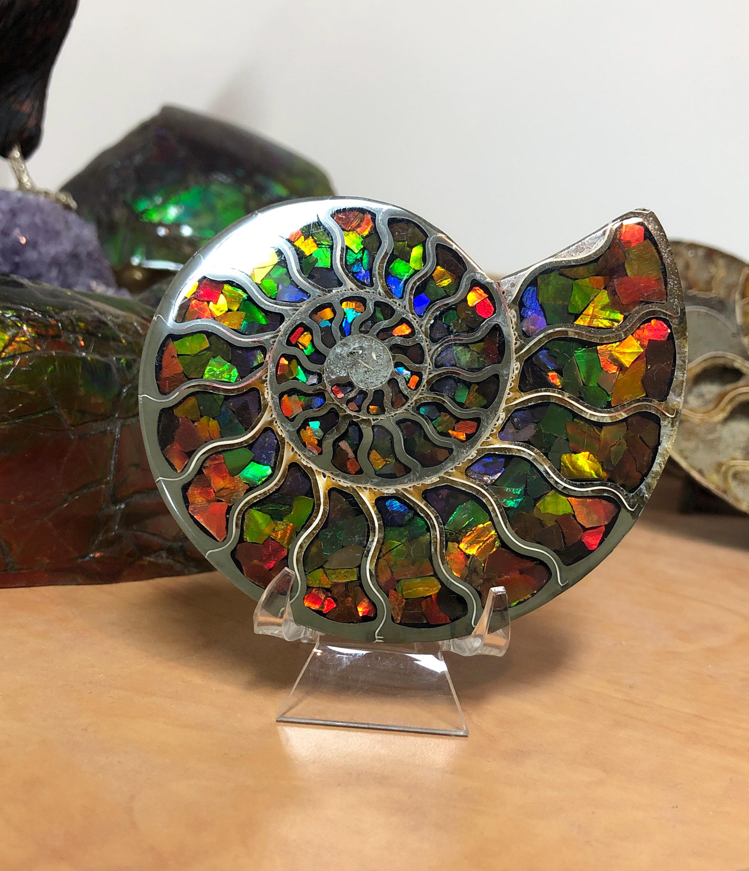 Ammolite Ammonite Fossil Art, Display Piece, Gemstone Beautiful ...