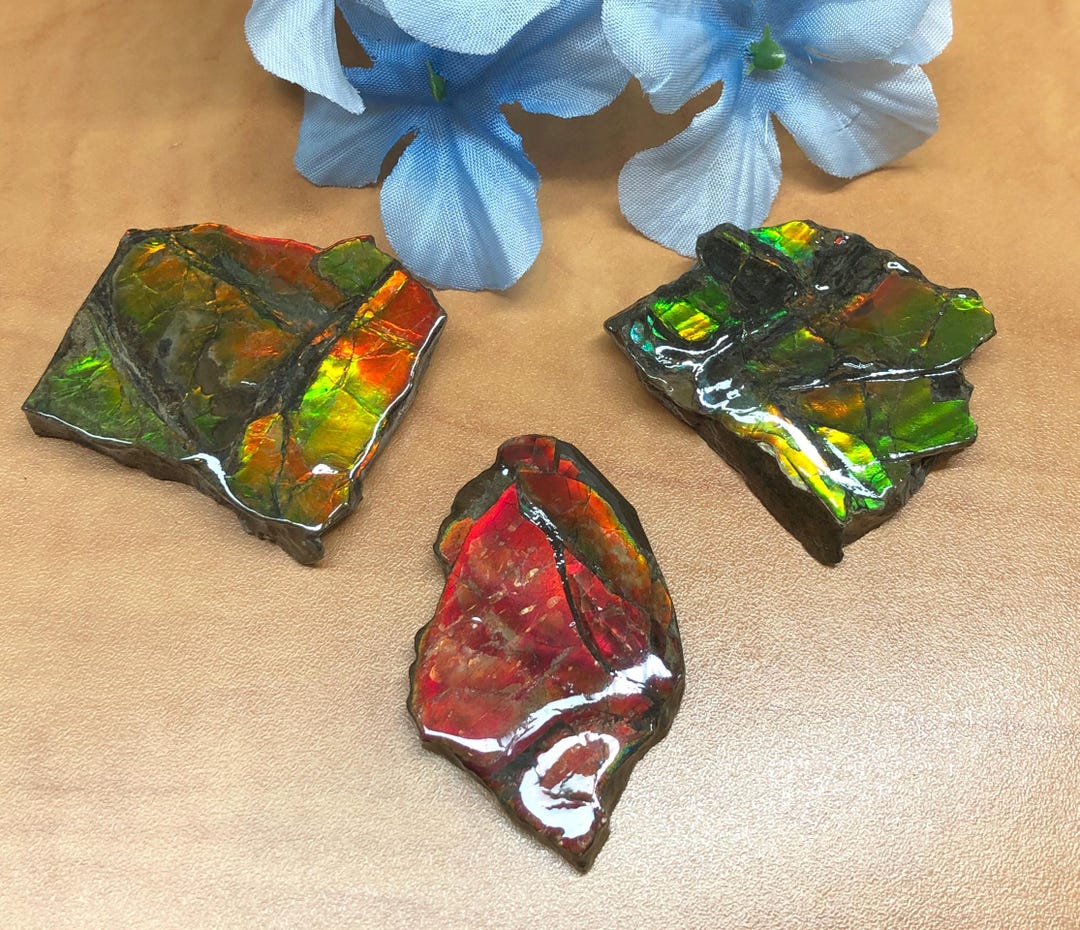 3 Ammolite Specimens, Ammolite, Ammolite Stone, Ammolite Gemstone ...