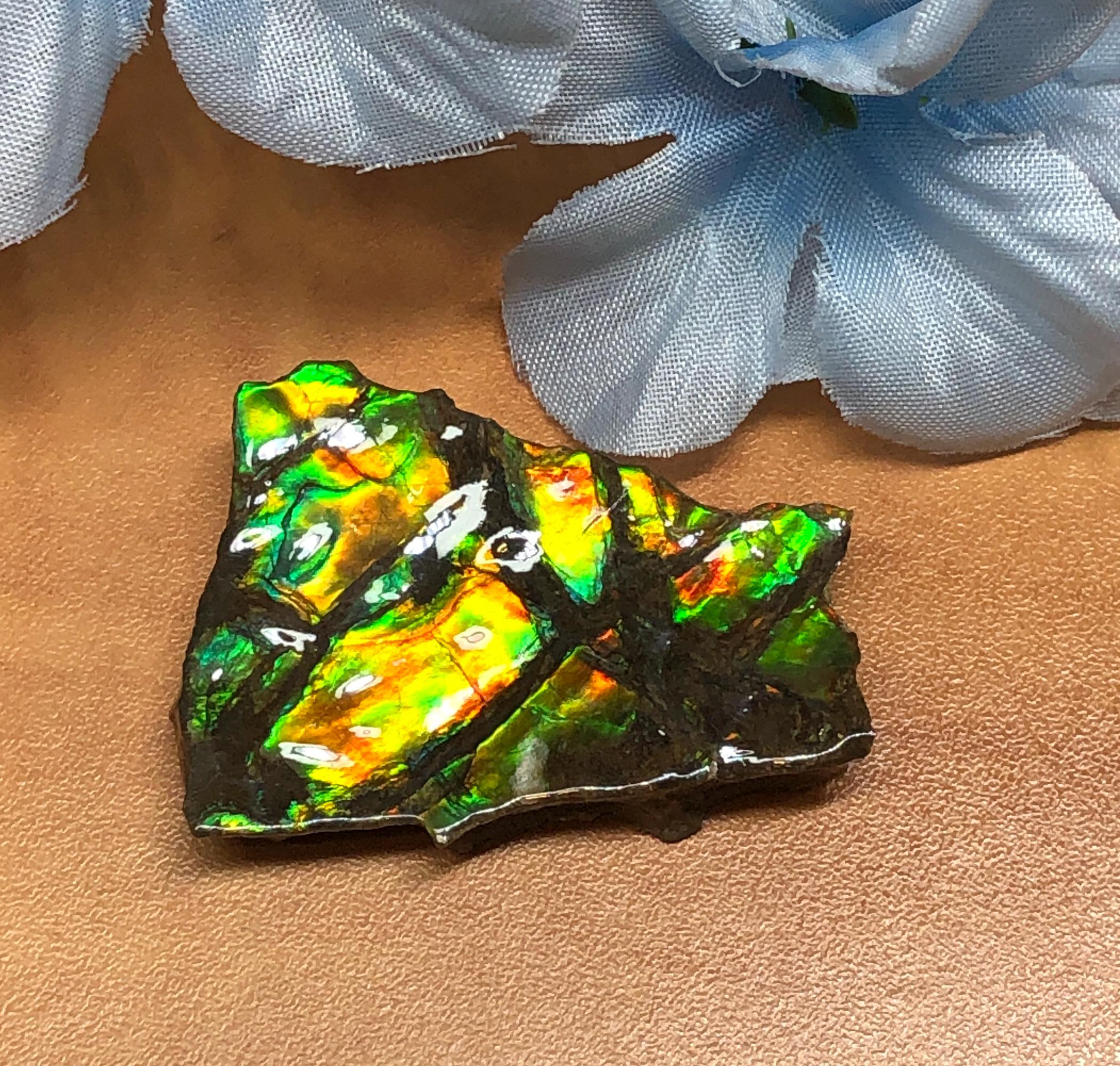 Ammolite Specimen, Ammolite, Ammolite Stone, Ammolite Gemstone, Jewelry ...
