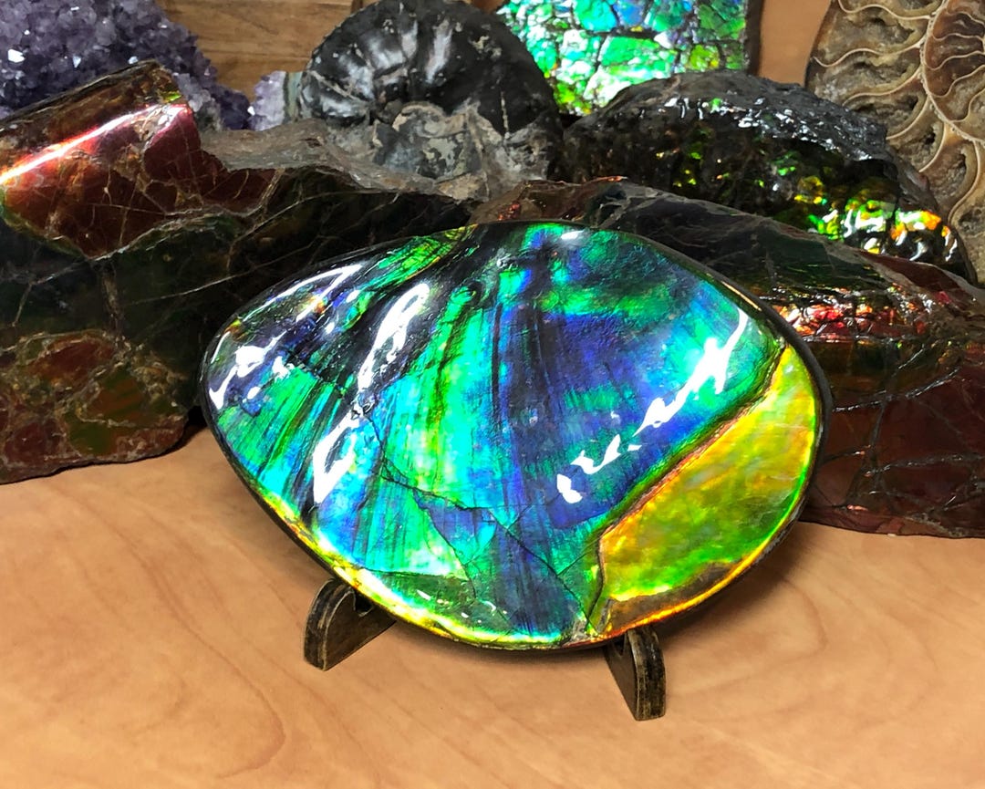 Ammolite Ammonite Gemstone Ammolite Art Display Piece Gemstone ...