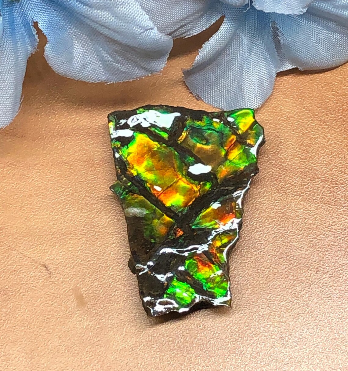 Ammolite Specimen, Ammolite, Ammolite Stone, Ammolite Gemstone, Jewelry ...