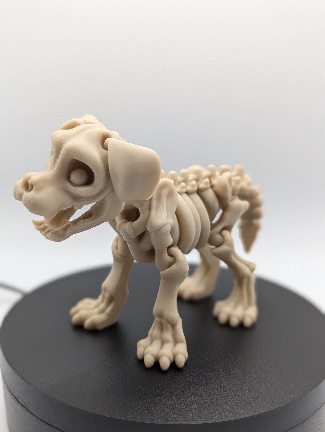 Pet Skeleton Dog - Etsy